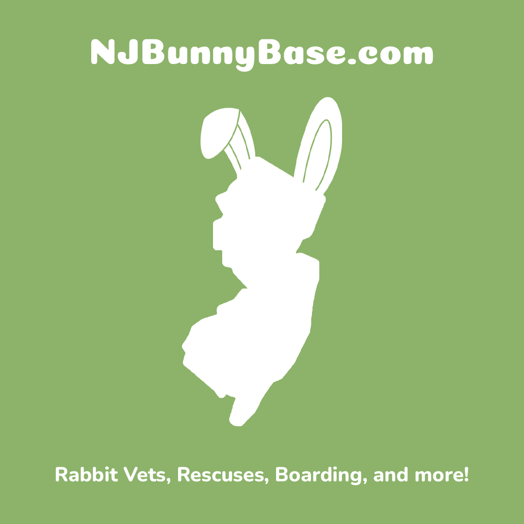 Find Rabbit Vets, Rescues, and Events in NJ - NJ Bunny Base